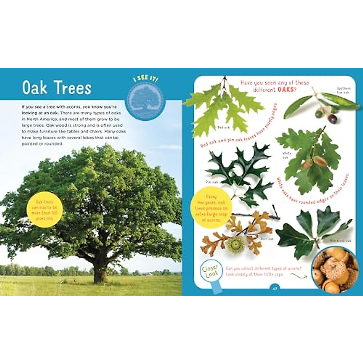 Backpack Explorer: Discovering Trees: What Will You Find?