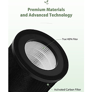 2-Pack TT-AP001 Filter Replacement for TT-AP001, VAVA VA-EE014 Air Purifiers, Replace TT-AP001SPF，H13 True HEPA Filter