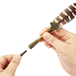 Calligraphy Pen Set Writing Quill Pen 6 Nibs and Ink,Antique Dip Feather Pen Gift Set for Beginners Birthday Gift,Beautiful Vintage Signature Pen