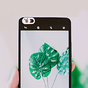 Sosoport 6pcs Cover Sliding Webcam Cover Slide Lens Cover Laptop Webcam Cap Protector Cover Laptop Hide Cover Computer Animal Abs