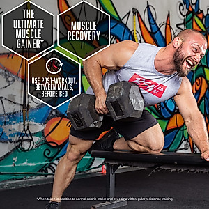 TRUE-MASS 1200, Vanilla Ice Cream, 10.38 Pound