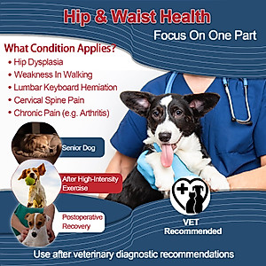 BUVUB Heated Dog Hip Brace Comes with Power Bank Heat Therapy for Dog with Hip Dysplasia, Arthritis, Hip Pain, Lower Back Pain, Weakness or Back Leg Limping(M)