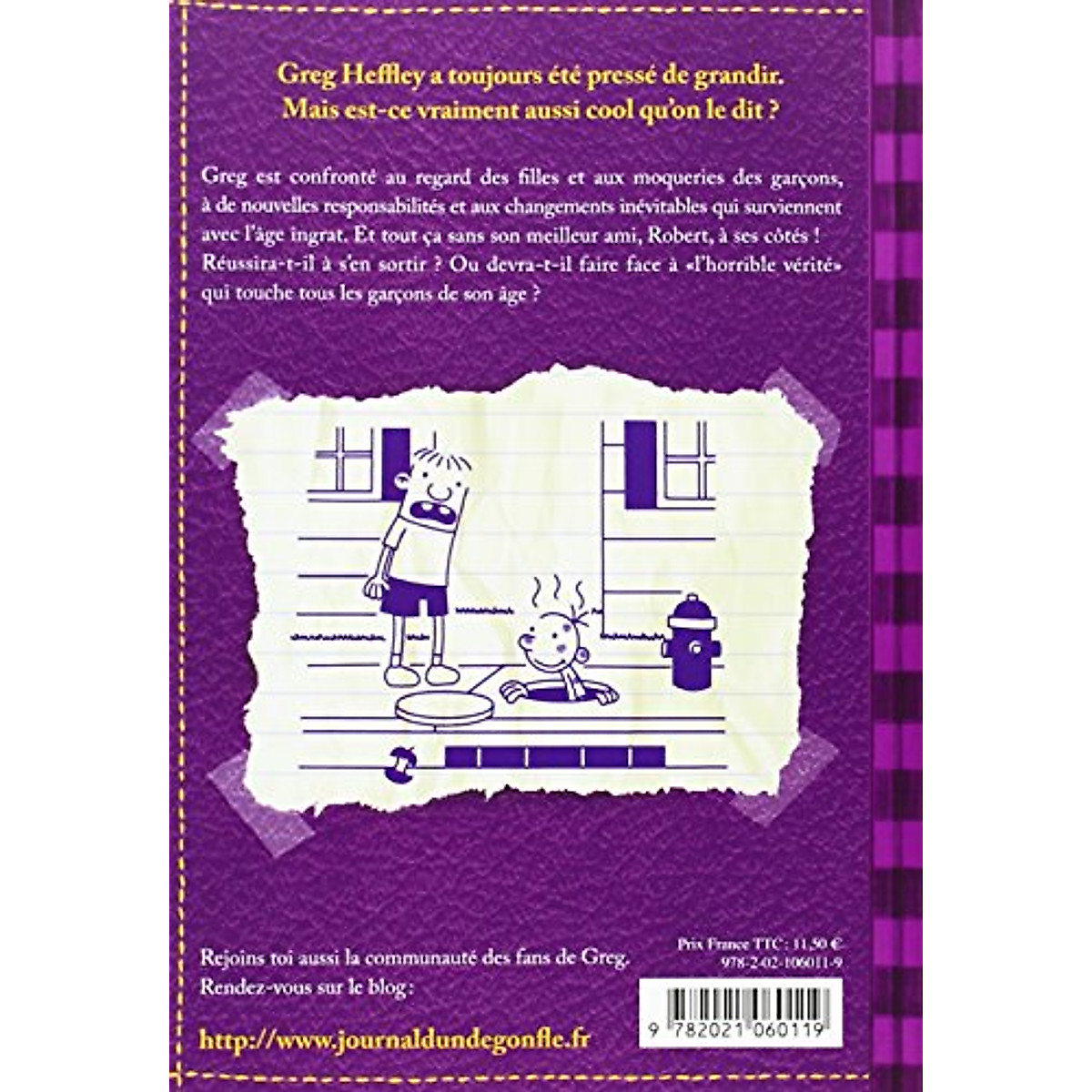 Journal d'un Degonfle Tome 5 - La verite toute moche - (Diary Of A Wimpy Kid in French) (French Edition)