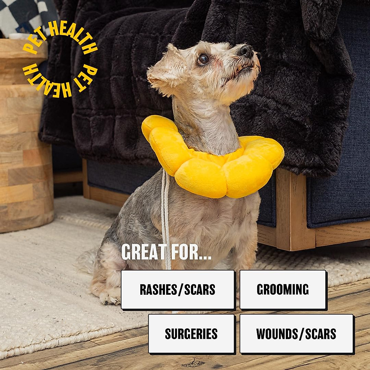 Dog Cones - Adjustable Dog Recovery Cone for Small Dogs - Dog-Friendly Design Dog Cone Collar - Reliable Head and Neck Cone for Dogs - Pet Cone - Dog Cone by Placely