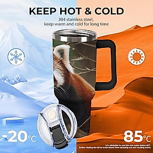 FJWKLRBV Red Panda on Tree Branch 40 Oz Water Bottle, Stainless Steel Tumbler with Handle And Straw, Extra Large Insulated Tumbler, Flip Straw Tumblers for Sports, Work, Car, Travel And Weekends