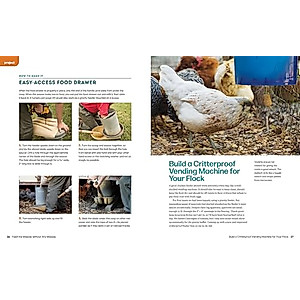 Hentopia: Create a Hassle-Free Habitat for Happy Chickens; 21 Innovative Projects