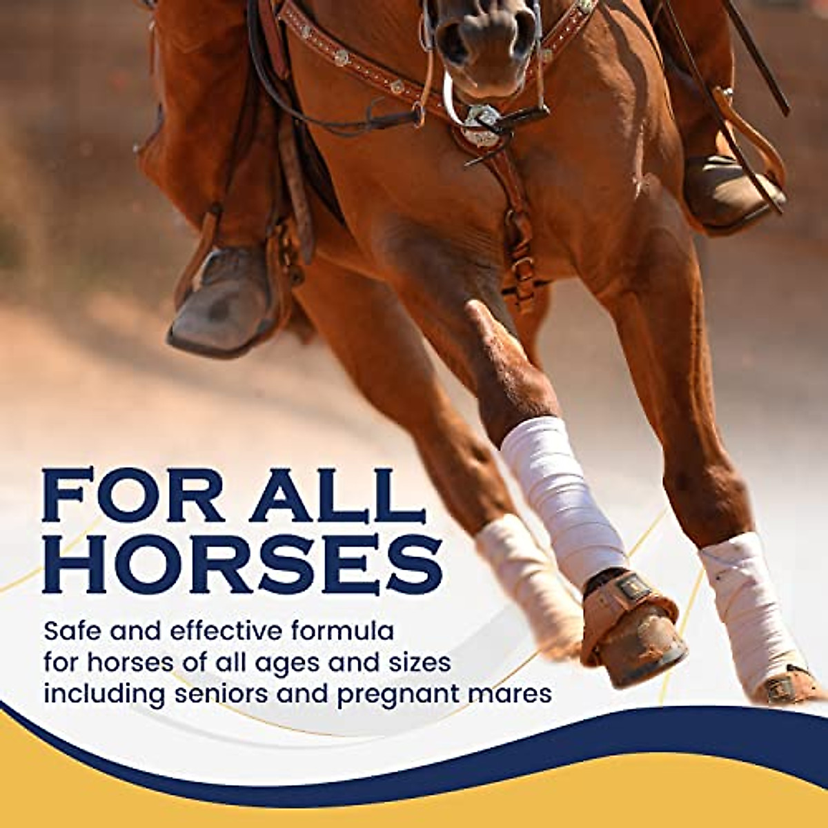 Ultimate OEC - Horse Omega 3 Supplement with Flax Seed Oil, Vitamin E Oil, and Colloidal Silver for Shiny Skin and Coat - Vet-Approved Horse Supplement for Immunity, Gut, Hoof & Bone Support