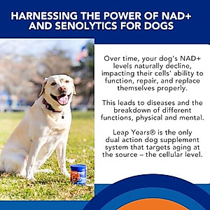 Leap Years Soft Chew Dog Supplement – Clinically Proven Daily NAD & Senolytic Formula; Support Cognition, Vitality & Healthy Cellular Aging; Beef Flavor (Small/Medium Breed (<54 lbs))