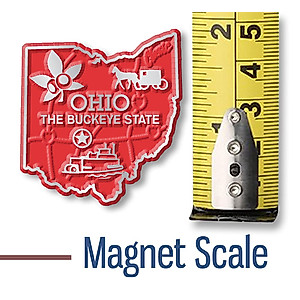 Ohio Small State Magnet by Classic Magnets, 1.7" x 1.8", Collectible Souvenirs Made in The USA