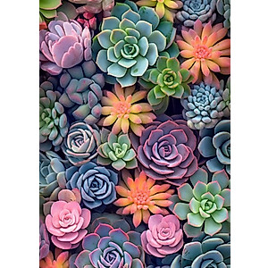 Ausanrl Succulents Diamond Painting Kits for Adults Beginners-Succulents Plant Diamond Art Kits for Adults,Flower Gem Art Kits for Adults for Gift Home Wall Decor Gifts 12x16inch