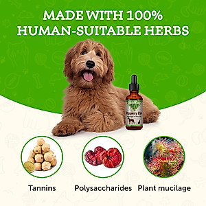 Animal Essentials Slippery Elm - Herbal Extract for Dogs and Cats, Promotes Healthy Digestion, Bowel Function, Certified Organic Herbs, All Natural, Respiratory Health, Liquid Formula - 1 Fl Oz