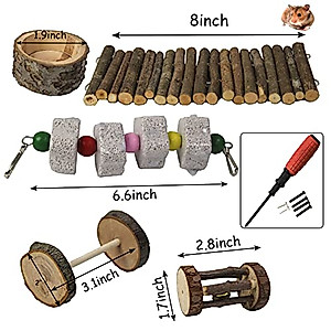 Hamiledyi Dwarf Hamster Activity Playground Natural Wood Gerbil Climbing Platform Mice Living Gym System Set Syrian Exercise Cage Accessories with Lava Stone String Chewing Toy Ladder Bridge Ramp
