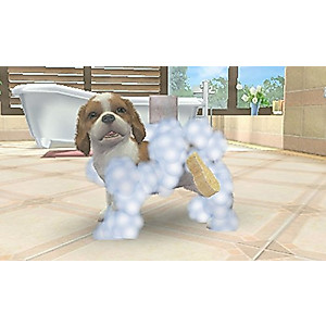 Nintendogs + cats Golden Retriever & ses nouveaux amis - Nintendo Selects