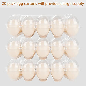 20 Pack Egg Cartons, Plastic Egg Cartons Bulk, Empty Clear Plastic Egg Carton Holds Up to 30 Eggs, Reusable Chicken Egg Tray Holders for Family Pasture Chicken Farm, Market Display, Storage