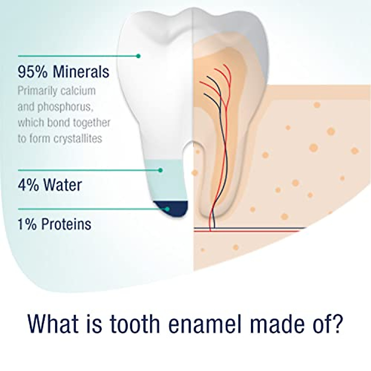 Sensodyne Pronamel Daily Protection Enamel Toothpaste for Sensitive Teeth and Cavity Protection, Sensitivity Protection and Cavity Protection, Mint Essence - 4 Ounces