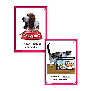 Super Duper Publications | Pigs & Pals Preposition Fun Deck Flash Cards | Educational Learning Resource for Children