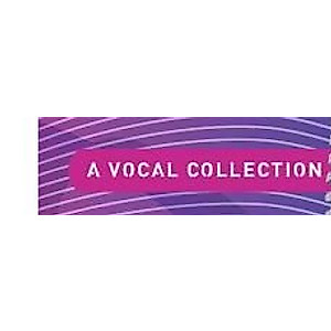 The Kumzitz Collection Volume 1 Acapellla Music - MP3 Collection