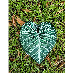 HOFFENDER Leaf Pillows Plant Pillows for Bedroom, Living Room and Patio Green Throw Pillows (Anthurium Regale)