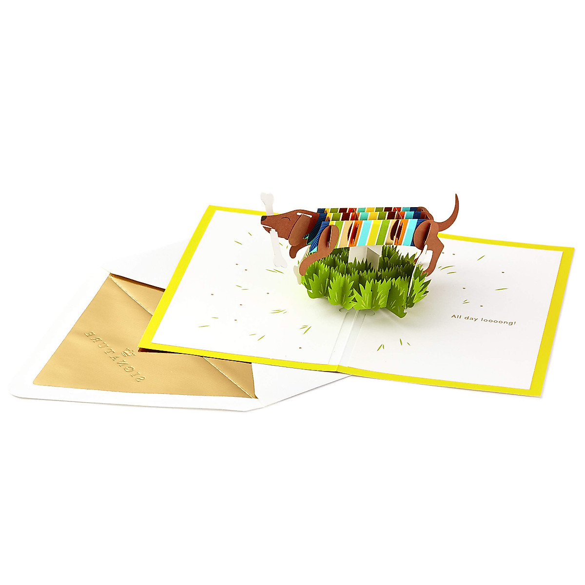 Hallmark Signature Paper Wonder Pop Up Birthday Card, Fathers Day Card (Dachshund, Happy All Day Long) (1299RZH1143)