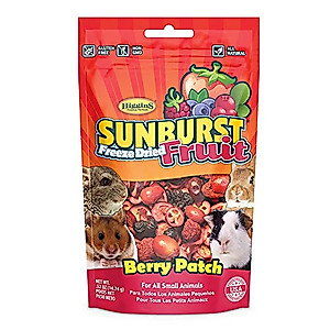Higgins Sunburst Gourmet Natural Treats - Berry Patch, 0.52 oz