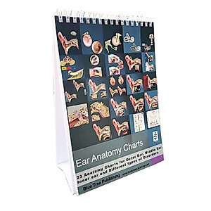 Blue Tree Publishing Ear Anatomy Desktop Charts For AUD, Audiologist, Hearing Centers and Classroom material for Education