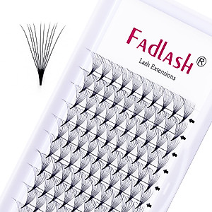 Lash Extension 10D 0.07 Premade Fans Eyelash Extensions D Curl Mix Tray Volume Short Stem (10D-0.07-D, 8-14mm Mix)