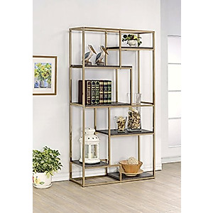 Furniture of America Corley Contemporary 6 Shelf Bookcase, Champagne