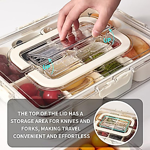 SNEKZ 𝟮 𝗣𝗮𝗰𝗸 Divided Serving Tray with Lid and Handle, 8 Compartments Portable Snackle Box Container for Fruit, Veggies,Clear Snack Containers for Kids and Adult, Perfect for Travel, Picnic