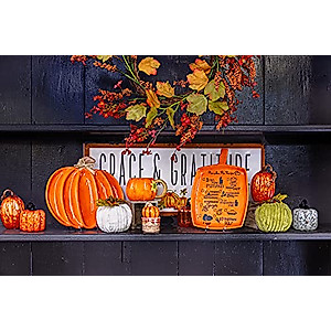 Boston International Divided Ceramic Serving Platter, Large, Orange Pumpkin