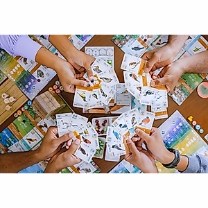 Stonemaier Games: Wingspan Asia | Standalone Game or Expansion to Wingspan (Base Game) | Great for Solo Play or 2 Player | Add to Wingspan for 6-7 Player Expansion | 1-5 Players, 70 Mins, Ages 14+