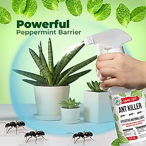Mighty Mint - 16oz Natural Peppermint Oil Ant Killer and Repellent Spray - Safe for Indoor/Outdoor Use