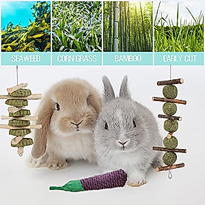 Cathpetic Perfect Rabbit Chew Toys - Guinea Pig Toys Natural Timothy Hay Chinchilla Toys, 100% Hand Made Rabbit Treats Apple and Wood Sweet Bamboo, Small Animal Chew Treat for Rodents Teeth Care