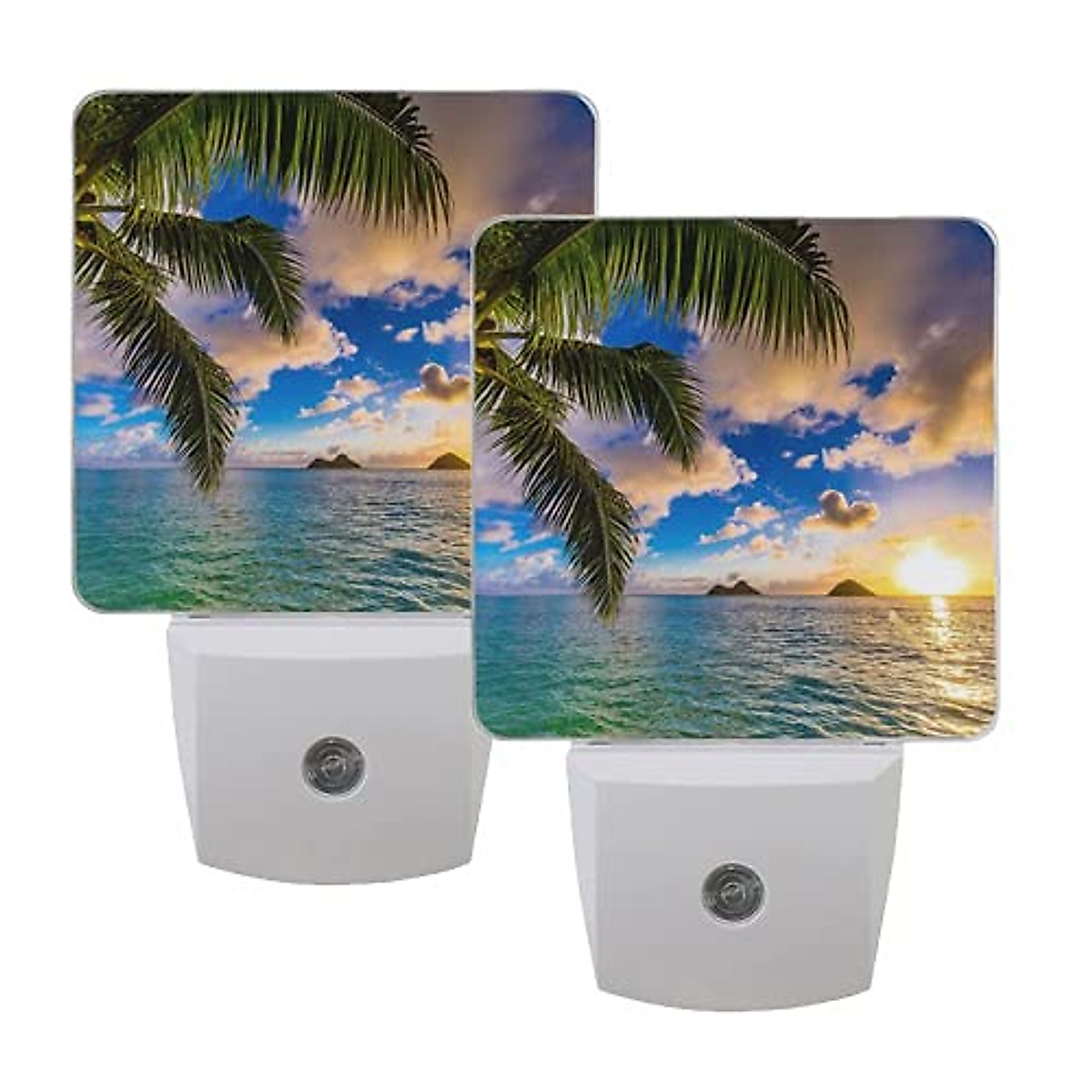 JOYPRINT Led Night Light Tropical Hawaii Palm Tree Ocean Sea Sunset, Auto Senor Dusk to Dawn Night Light Plug in for Kids Baby Girls Boys Adults Room