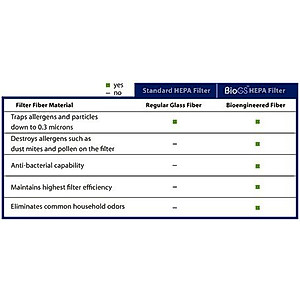 Rabbit Air Genuine Classic BioGS HEPA Filter Replacement (for: SPA-421A & SPA-582A)