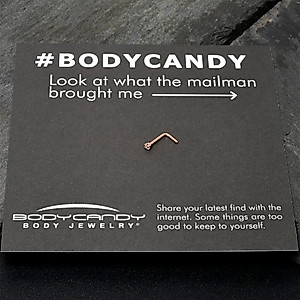Body Candy 20 Gauge 1/4" at Bend 14k Rose Gold 1.5mm Diamond (0.015 cttw) L-Shaped Nose Ring Nose Stud
