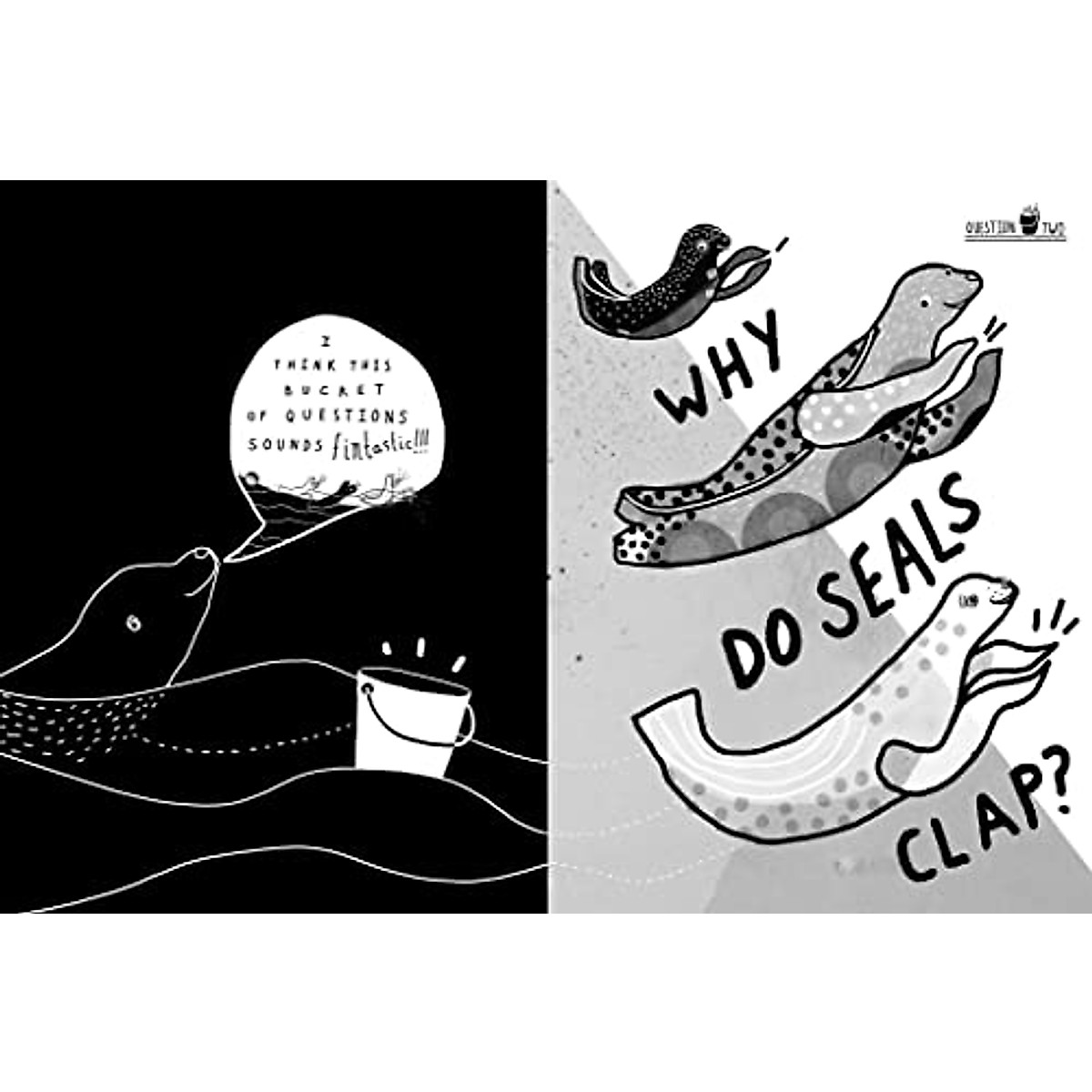 A Bucket of Questions