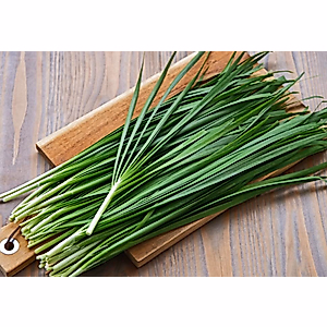 Chinese Leek Seeds for Planting(500 Seeds)