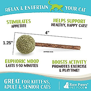 Raw Paws Catnip Lollipops, 6 ct - Cat Toys for Indoor Cats, Interactive Cat Toy, Catnip Toys, Silvervine Cat Toy, Silvervine for Cats, Cat Kicker Toy, Catnip Ball, Cat Ball Toy, Catnip Lolli-pops