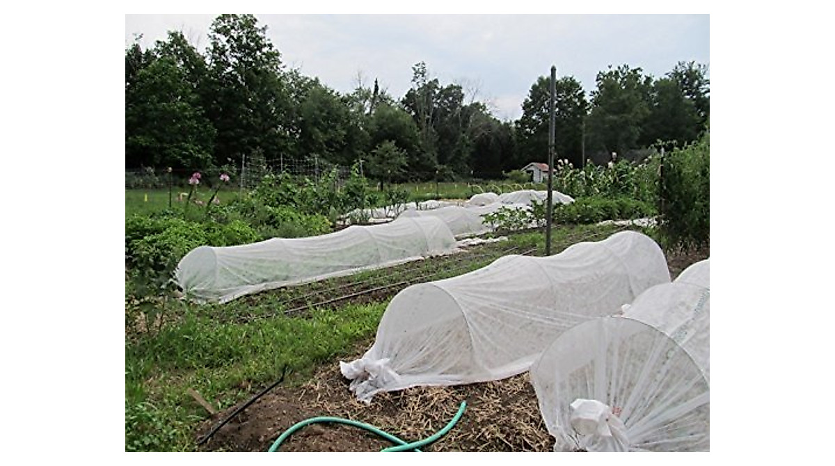 GrowBiggerPlants Agribon AG-30 Frost Cover for Garden Protection