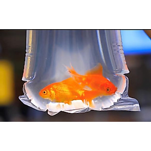 ALFA FISHERY BAGS Round Corners Bottom Leak Proof Clear Plastic Fish Bags Size 10 Inches for Marine & Tropical Fish Transport 2 mil. (10" x 24" / 100 Pack)