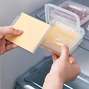 Teensery 2 Pcs Plastic Cheese Storage Box with Lid Multi-Purpose Square Food Container for Fruits Vegetable, 4" x 4" x 1.6" (Clear)