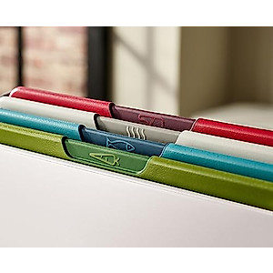 Joseph Joseph Folio Icon, 4-Piece Color coded Cutting Board Set, Slimline Case for Organized Kitchen Storage - Regular, White