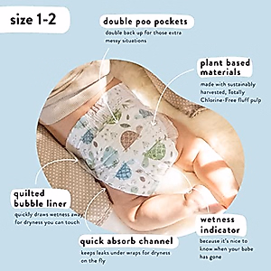 The Honest Company Clean Conscious Diapers | Plant-Based, Sustainable | Rose Blossom + Tutu Cute | Super Club Box, Size 1 (8-14 lbs), 160 Count