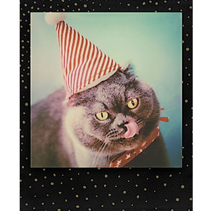 Polaroid Originals - 4932 - Color Film for 600 - Gold Dust Edition