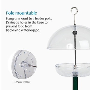 Bluebird Feeder - Jacobi Jayne® Pearl Feeder Dome Bird Feeder for Small Birds - Bluebird Feeder for Mealworms - Platform Bird Feeder Dome Cover - Covered Mealworm Feeder attracts Blue Birds