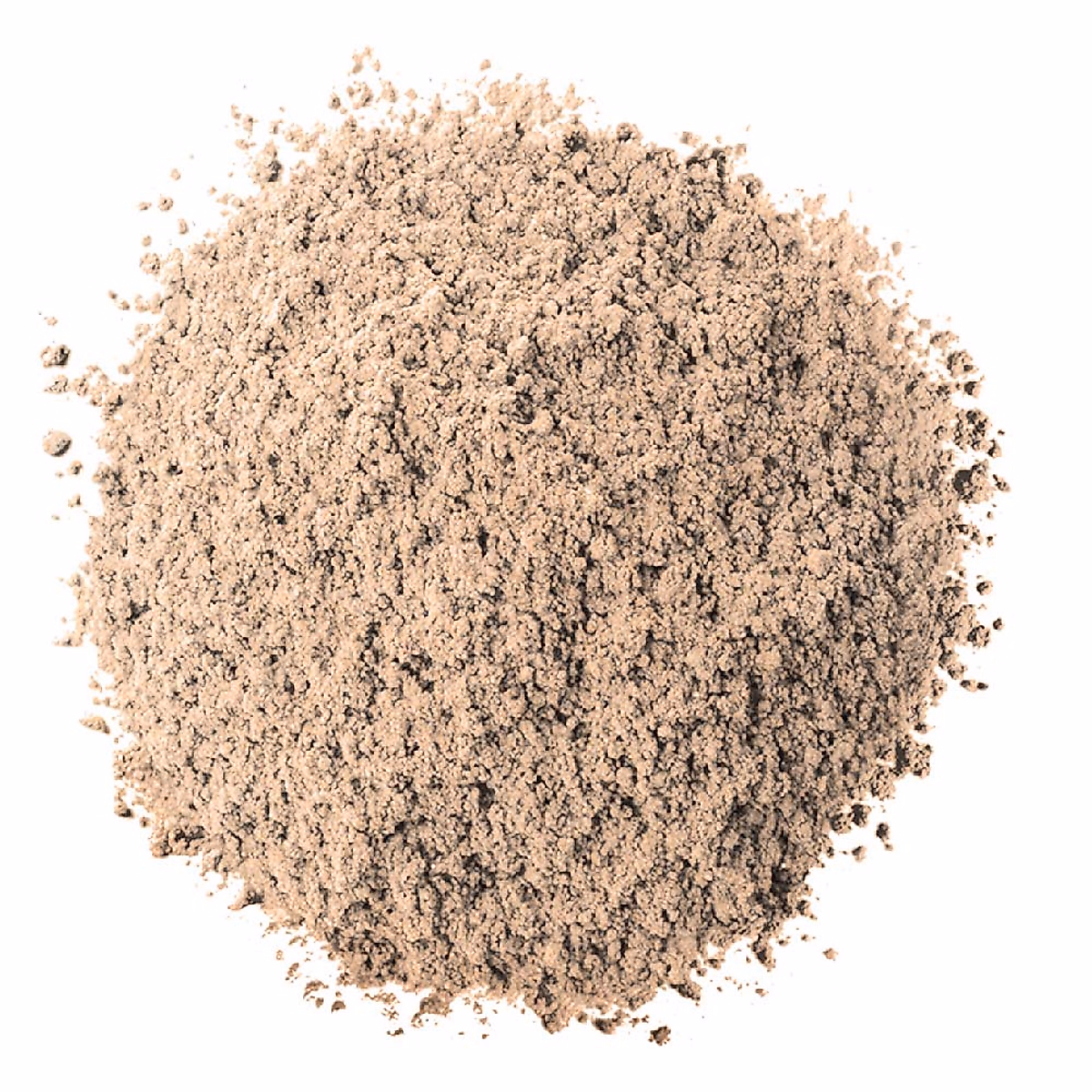 L'Oreal Paris Infallible 24 Hour Waterproof Shadow, Iced Latte, 0.12 Oz.