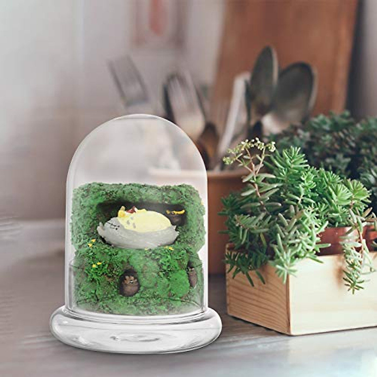 Cabilock Glass Candle Holder Dome Cloche Clear Glass Cloche Bell Jar Display Dome Candle Holder Candlestick Cup Tealight Holder Micro Landscape