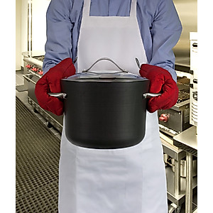 Nouvelle Legende Flame Retardant Kitchen and BBQ Heavy Duty Burn Protection Quilted Mitt, 17 Inches, Red, 2-Pack