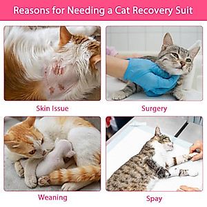 Cat Recovery Suit Cat Onesie for Cats After Surgery Female, Breathable Cat Surgery Recovery Suit for Abdominal Wounds Post-Surgery, Cat Surgical Spay Recovery Shirt for Cats Kitten Pink Small