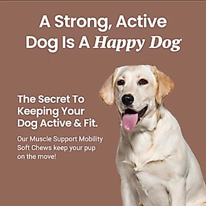 Holistapet Mobility Soft Chews, Amino Acids for Dogs, Supports Overall Health, Helps Maintain Activity, All Natural Ingredients (30 Count, Peanut Butter)